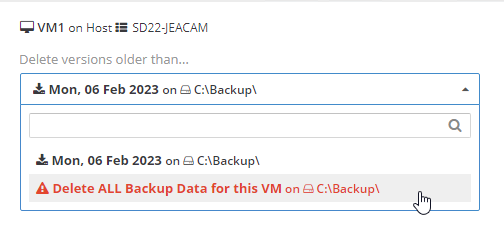 How can I start a fresh backup set? – Hornetsecurity KnowledgeBase