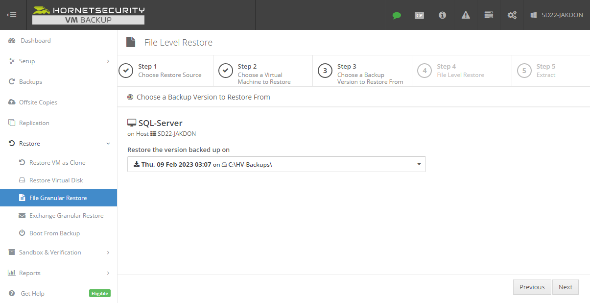 How to perform File Granular Restore – Hornetsecurity KnowledgeBase