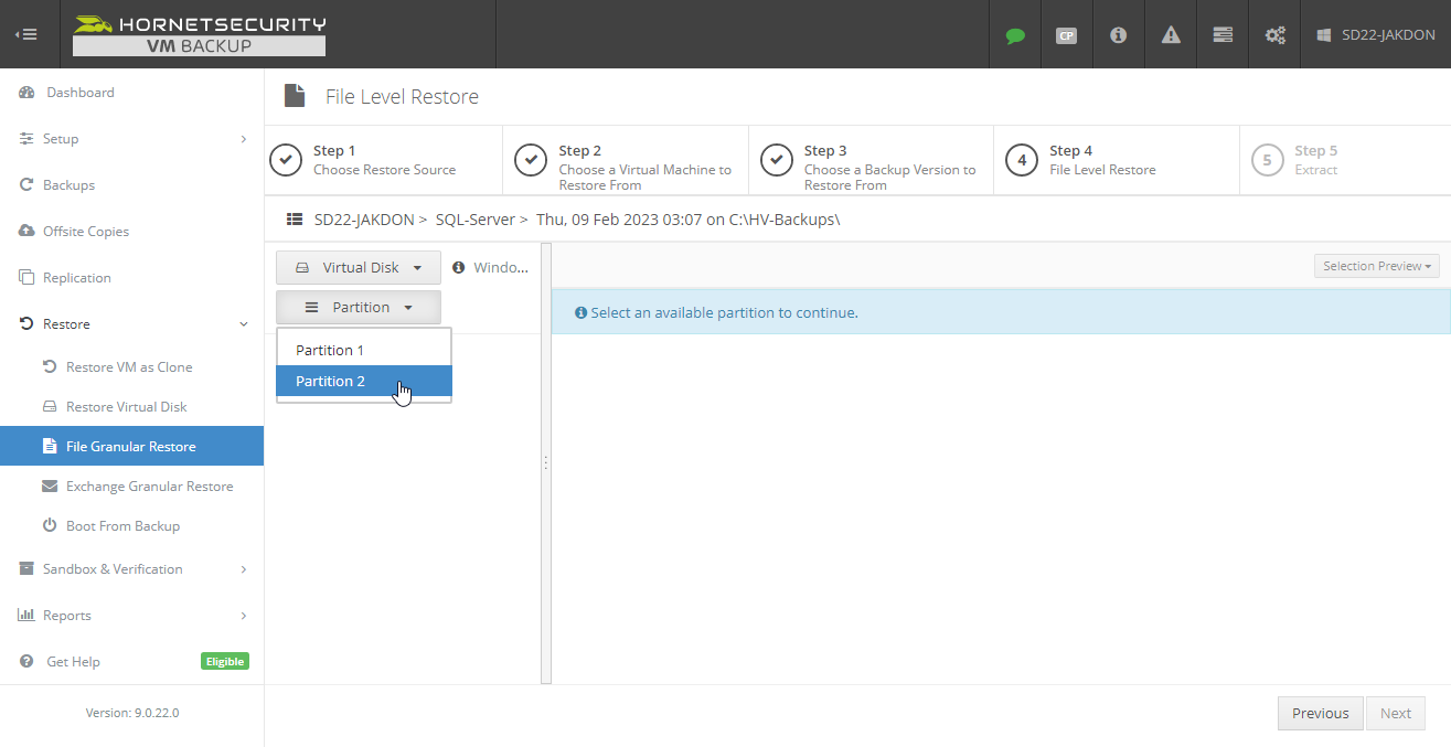 How to perform File Granular Restore – Hornetsecurity KnowledgeBase