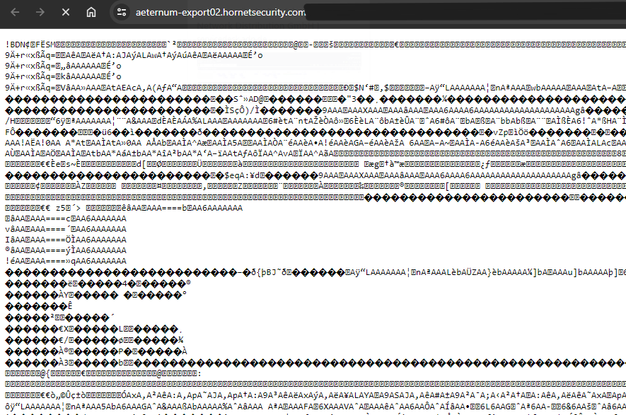 Export In Export Manager Opens The File Instead Of Downloading It